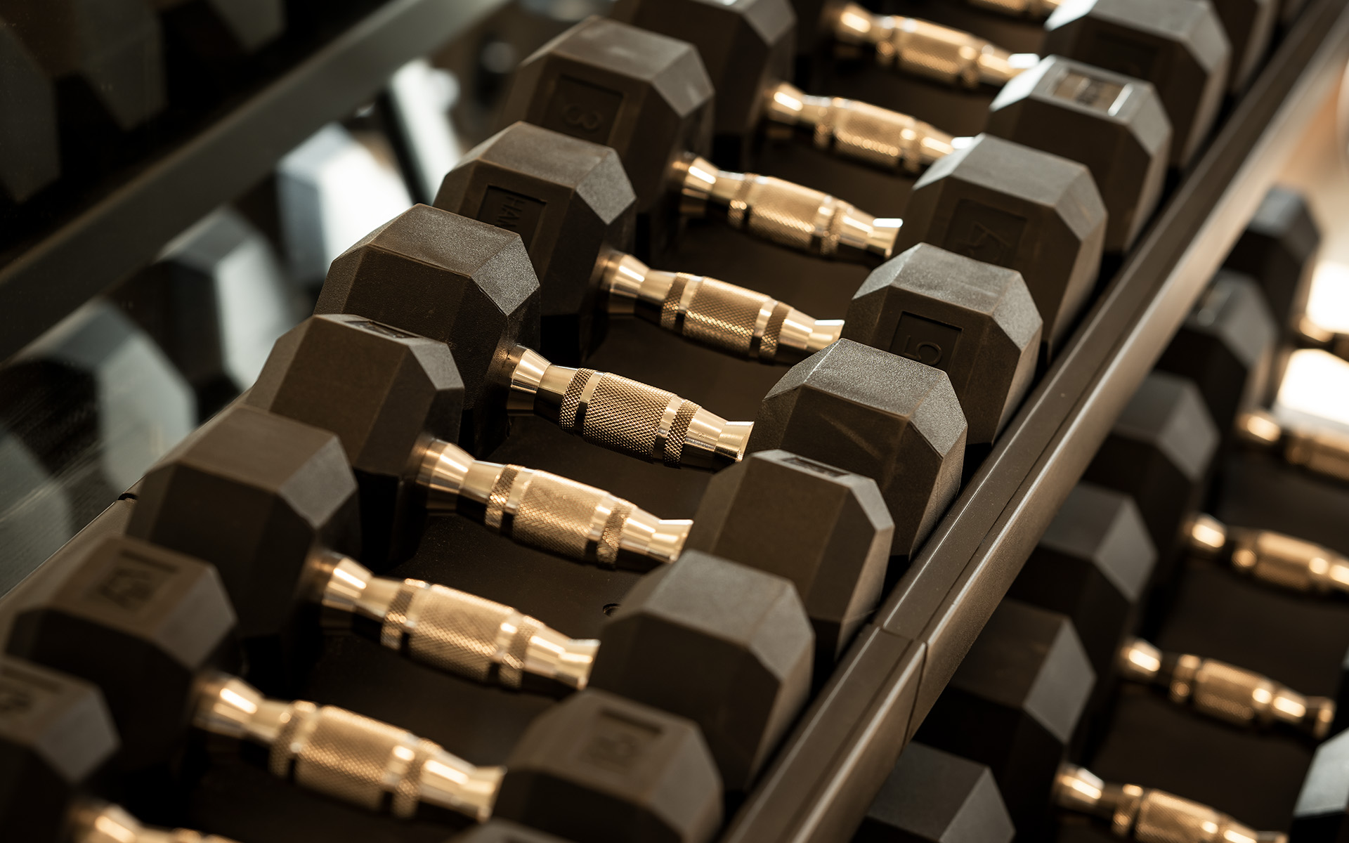 Gym & Fitness Center | Aspen Glen Club | Carbondale, CO